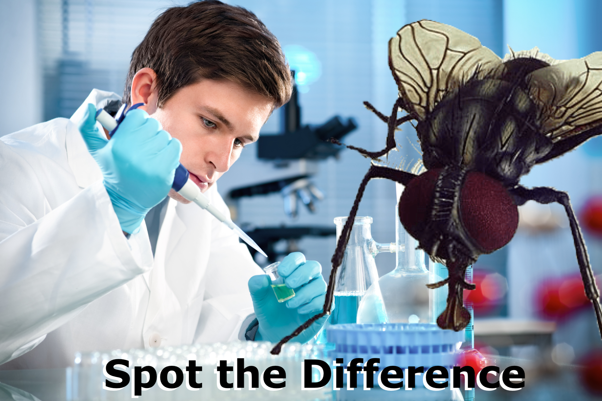 Allah Calls Scientists So Meek, they Can Never Make a Fly - To Be a Muslim